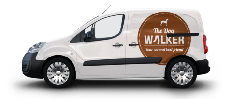 Meet the Team - The Dog Walker